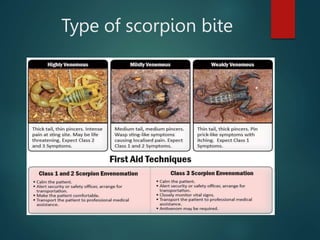 FIRST AID EMERGENCY IN DIFFERENT BITES AND STINGS.pptx