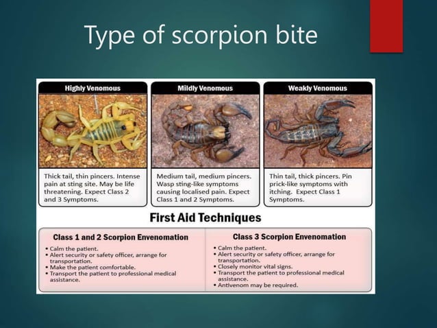 FIRST AID EMERGENCY IN DIFFERENT BITES AND STINGS.pptx