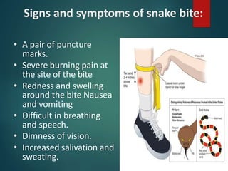 FIRST AID EMERGENCY IN DIFFERENT BITES AND STINGS.pptx