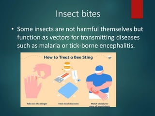 FIRST AID EMERGENCY IN DIFFERENT BITES AND STINGS.pptx