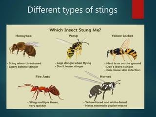 FIRST AID EMERGENCY IN DIFFERENT BITES AND STINGS.pptx