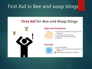 First aid for wasp sting store