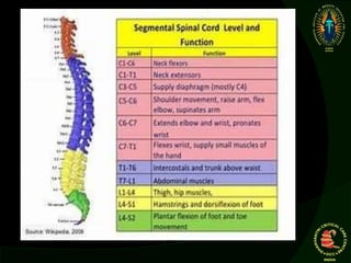 First aid for rta, common accidents | PPT