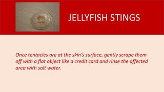 First aid fundamentals during summer | PPT