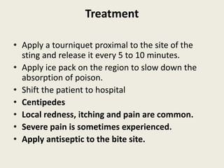 first aid in Insects bites and heat stroke.pptx