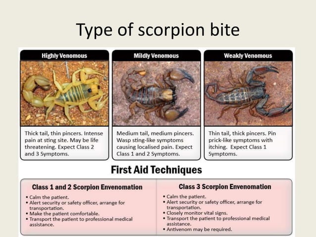 first aid in Insects bites and heat stroke.pptx | First Aid | Injuries