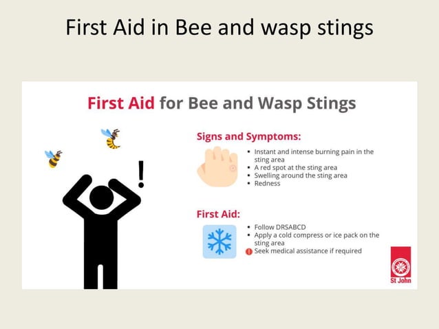 first aid in Insects bites and heat stroke.pptx | First Aid | Injuries