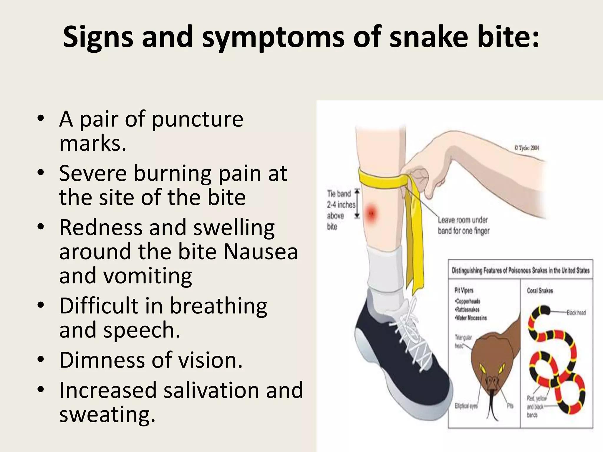 first aid in Insects bites and heat stroke.pptx