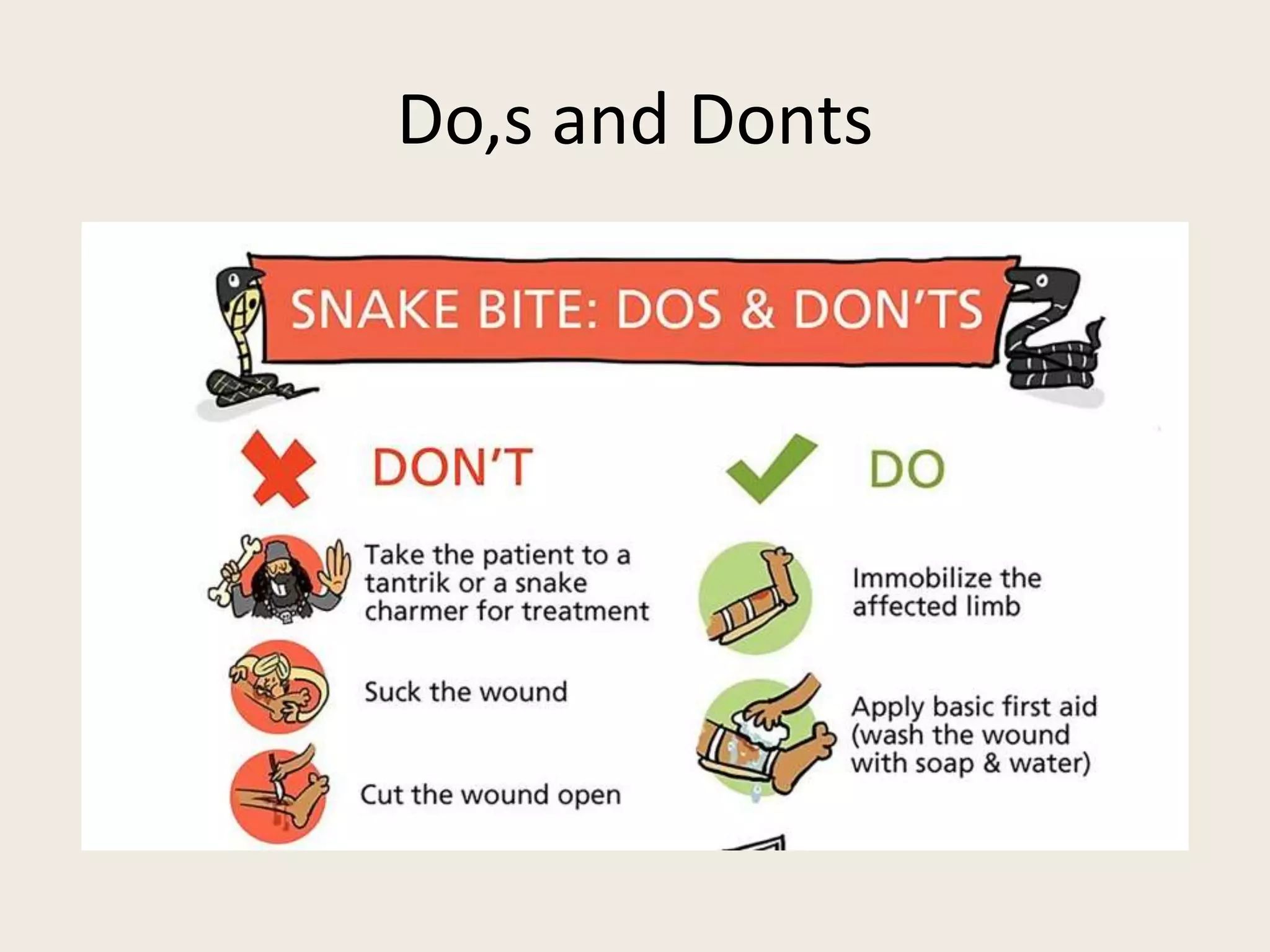 first aid in Insects bites and heat stroke.pptx