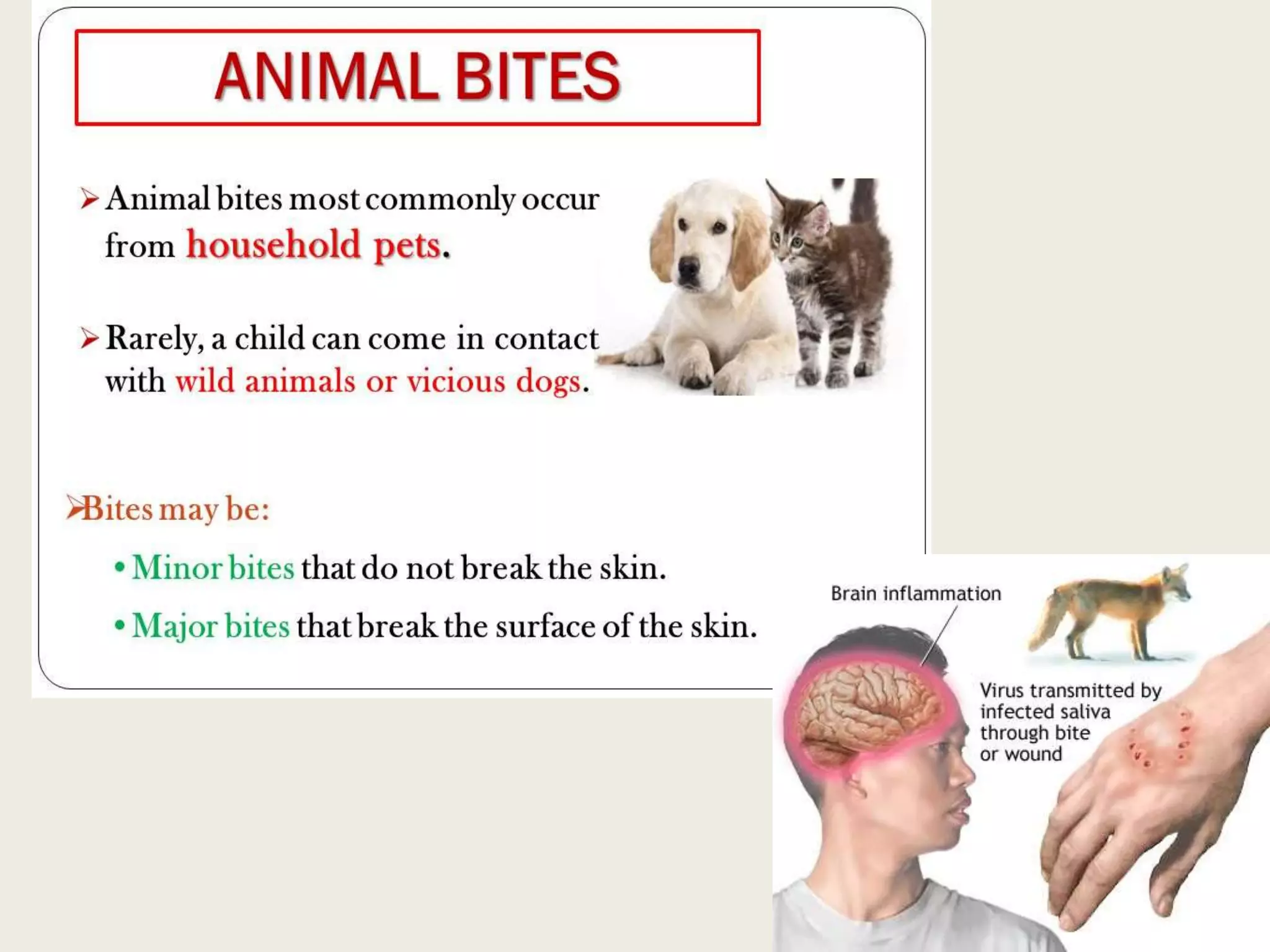 first aid in Insects bites and heat stroke.pptx