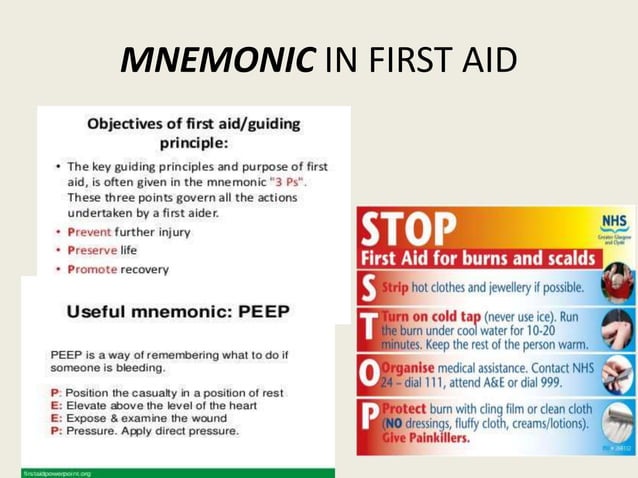 first aid in Insects bites and heat stroke.pptx