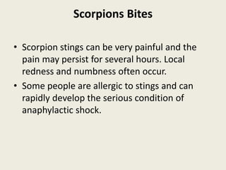 first aid in Insects bites and heat stroke.pptx