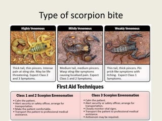 first aid in Insects bites and heat stroke.pptx