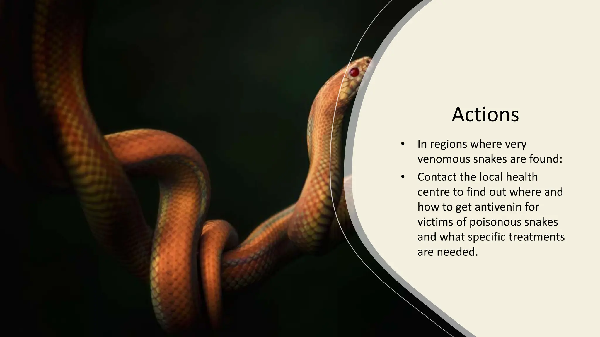 First Aid in Sting and Bites or snake bite | PPTX