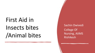 First Aid in Sting and Bites or snake bite | PPTX