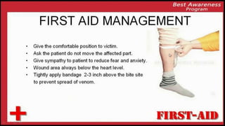 First Aid in Sting and Bites or snake bite | PPTX