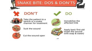 First Aid in Sting and Bites or snake bite | PPTX