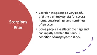 First Aid in Sting and Bites or snake bite | PPTX