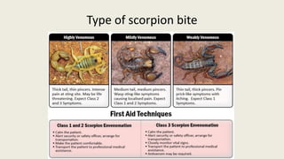 First Aid in Sting and Bites or snake bite | PPTX
