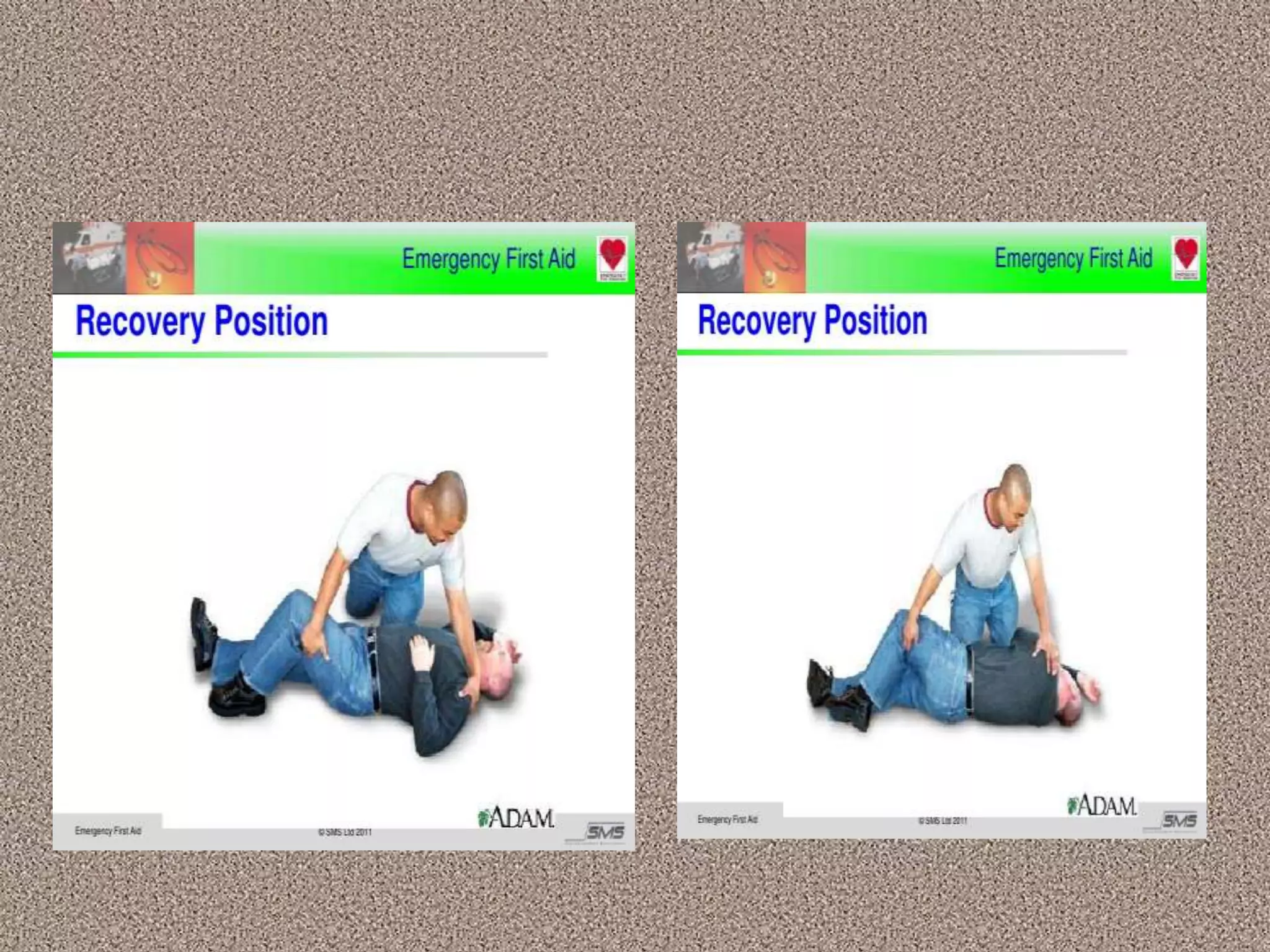 First aid introduction and emergency | PPTX | First Aid | Injuries