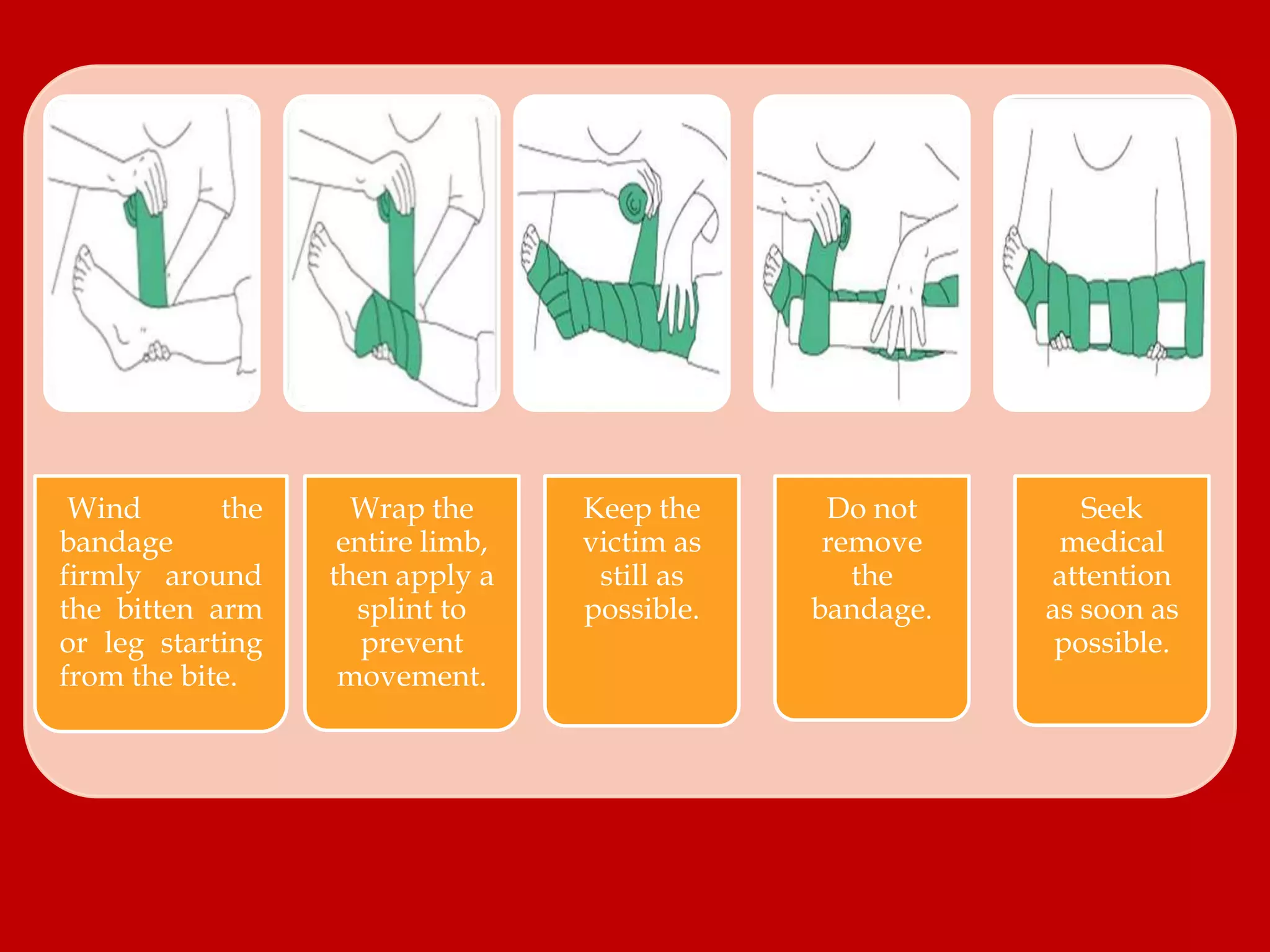 First aid ppt | PPTX