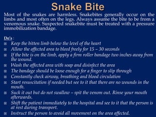 First aid ppt | PPTX