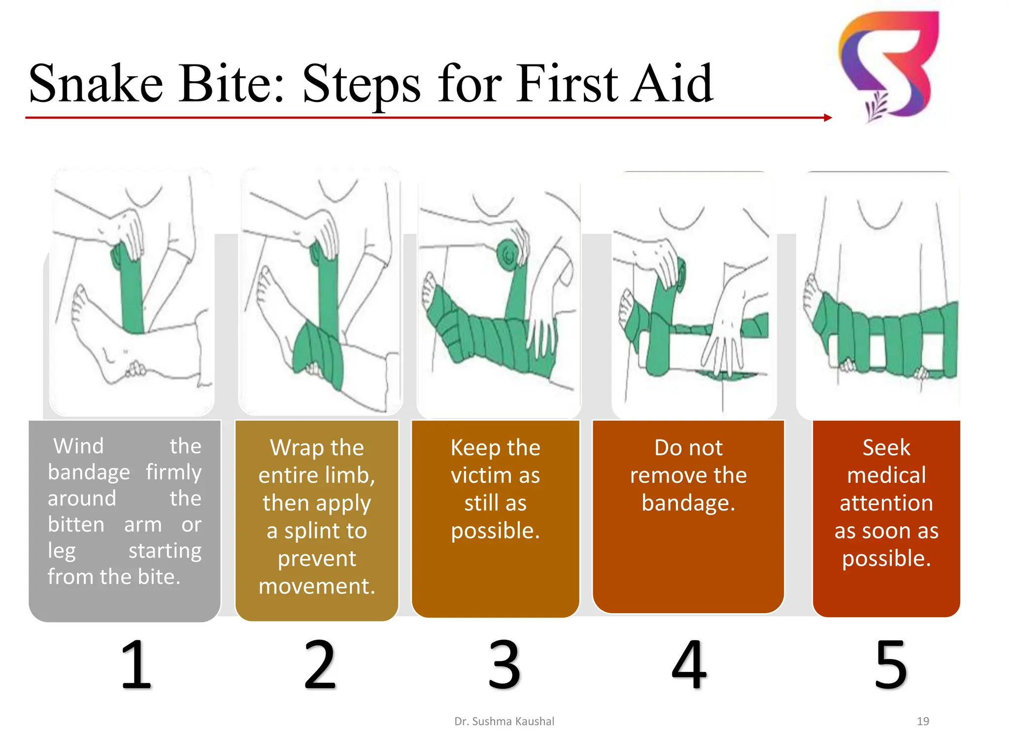firstaidppt-Dr. Sushma.pptx