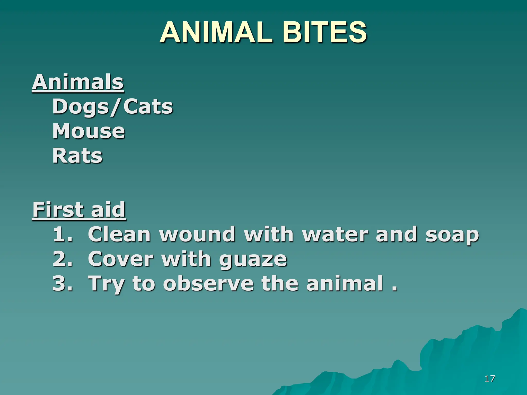 FIRST AID PRESENTATION ON INDUSTRIAL SAFETY by dr lal.ppt