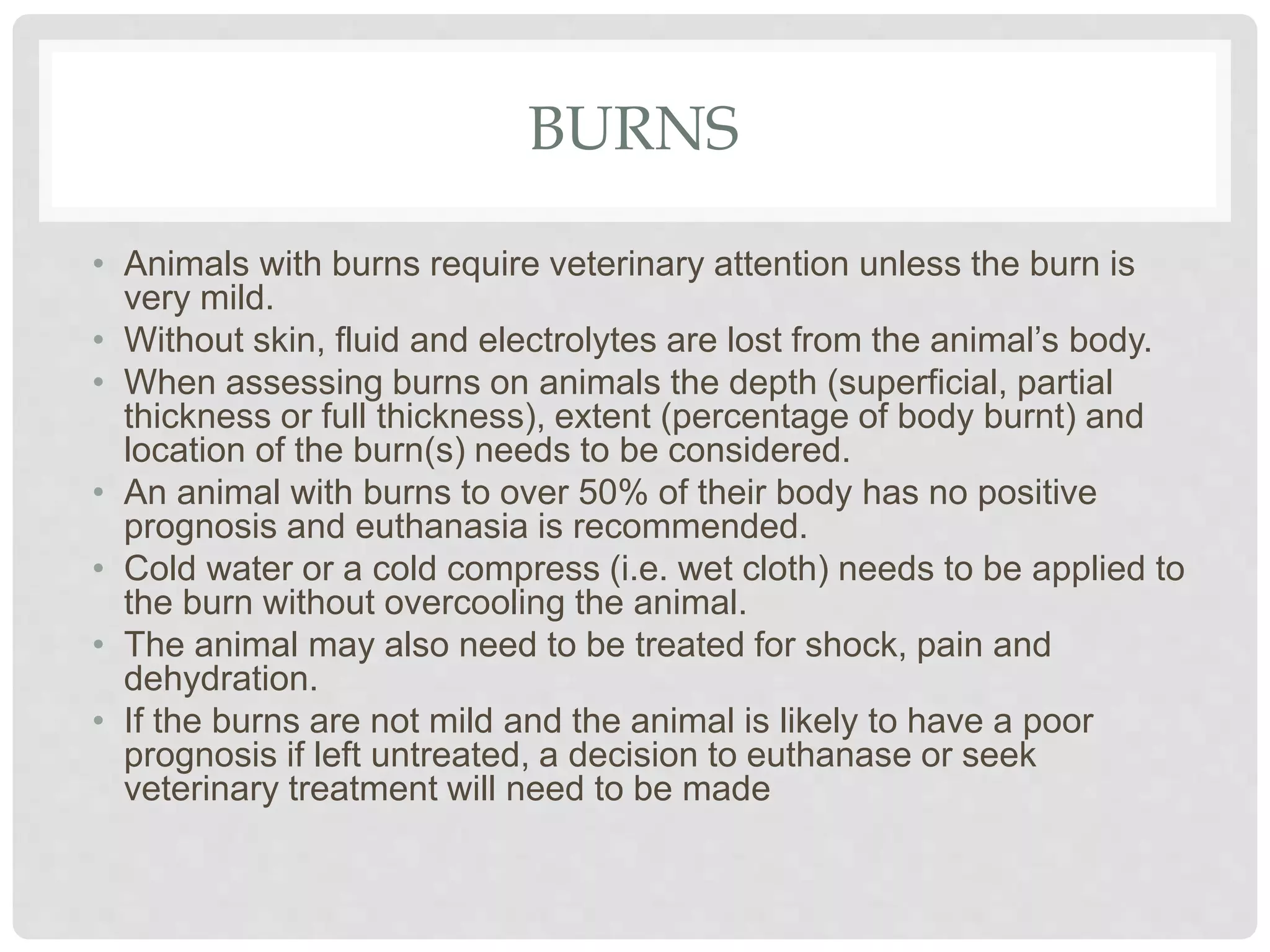 First aid procedures for animals | PPTX