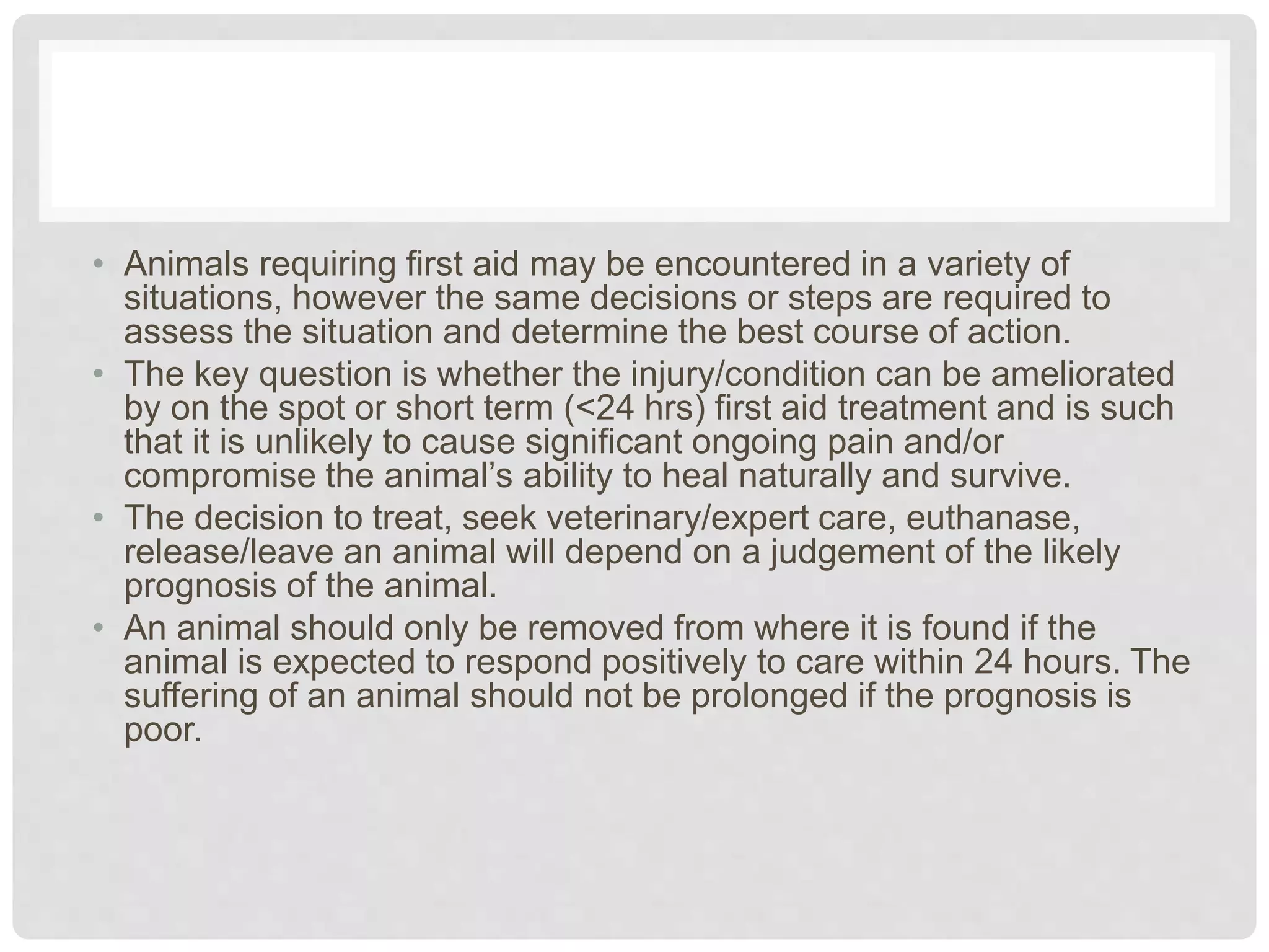 First aid procedures for animals | PPTX