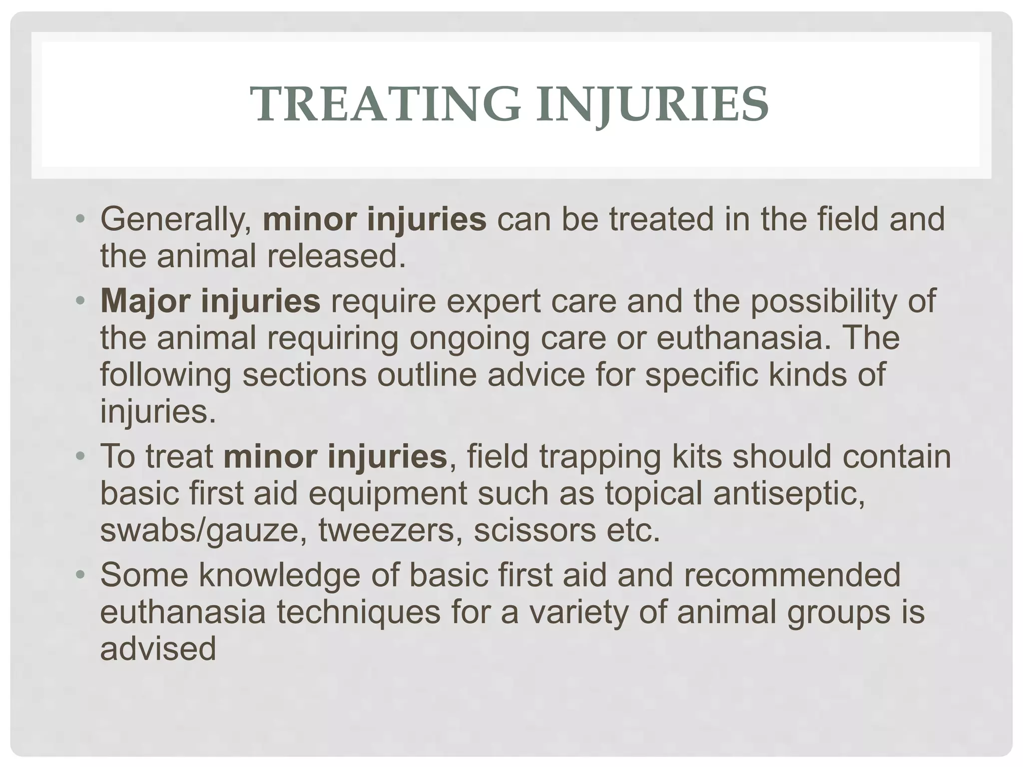 First aid procedures for animals | PPTX