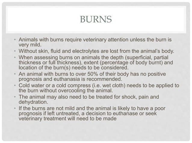 First aid procedures for animals | PPTX | First Aid | Injuries