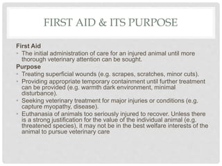 First aid procedures for animals | PPTX