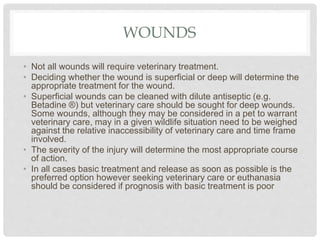 First aid procedures for animals | PPTX