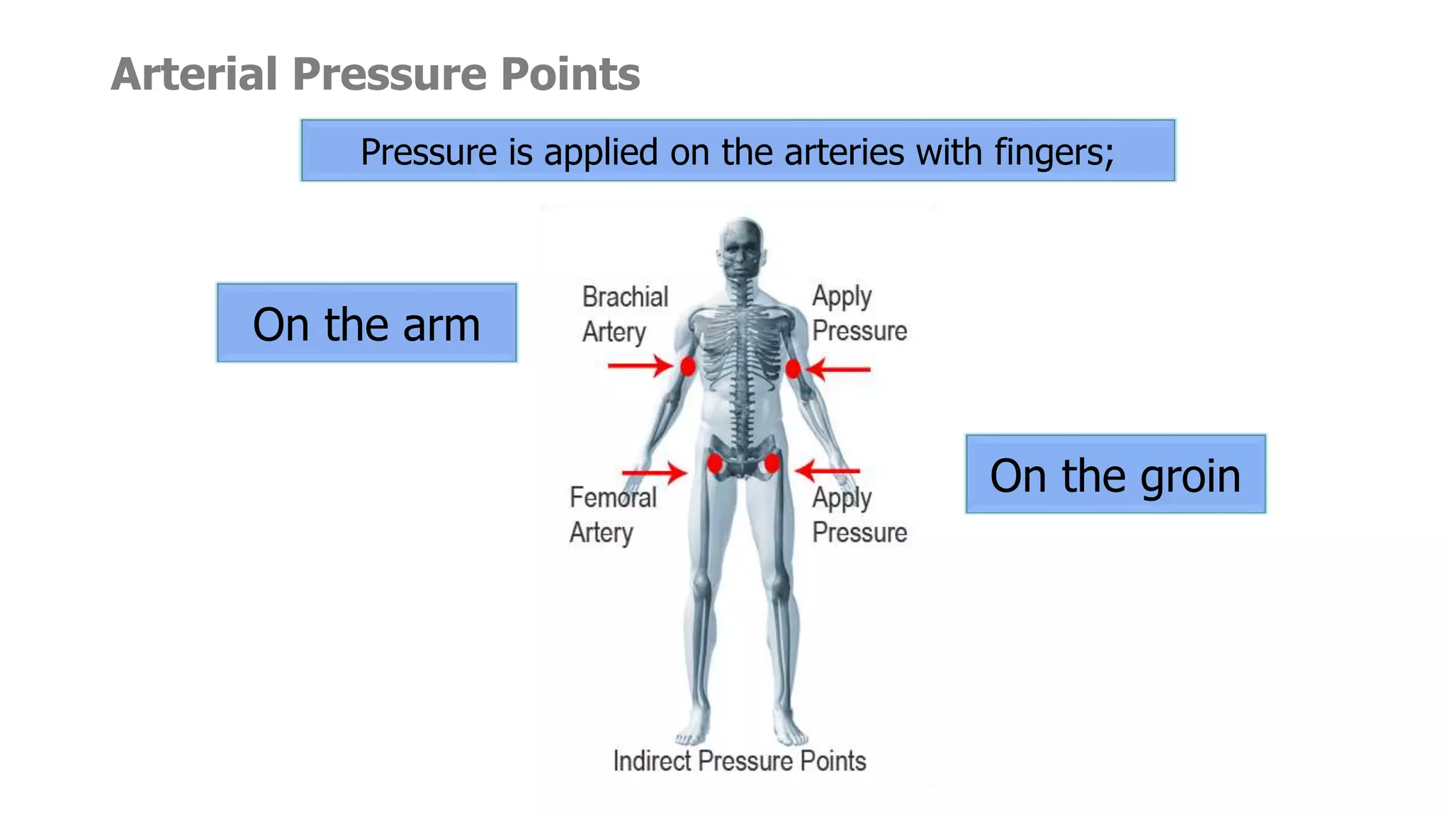 First aid seminar | PPTX