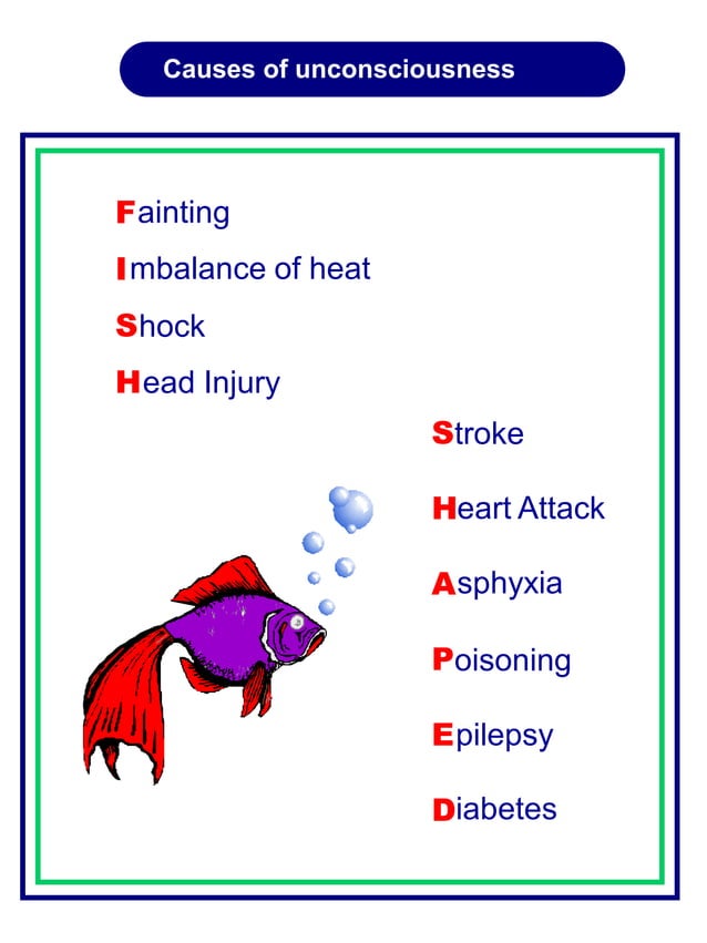 First Aid Slides | PDF