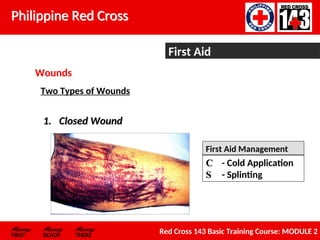 First Aid Training From RED Cross module 1 | PPT