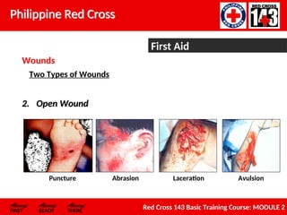 First Aid Training From RED Cross module 1 | PPT