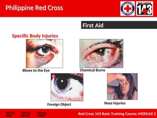 First Aid Training From RED Cross module 1 | PPT