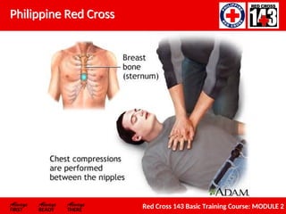 First Aid Training From RED Cross module 1 | PPT
