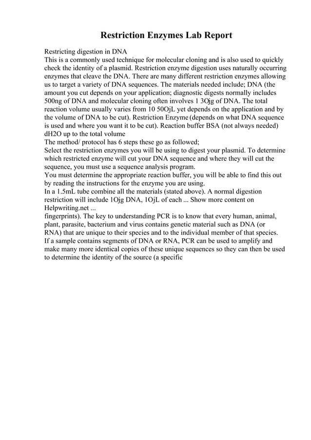 First Amendment Essay | PDF