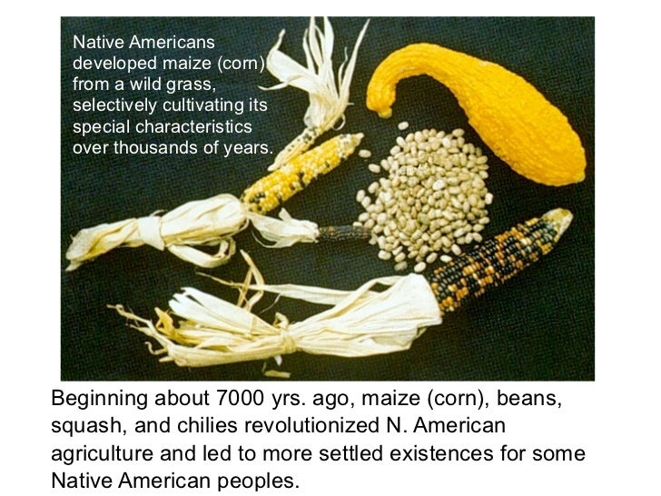 HIS 2213 LU2 Who Were the First Americans & When Did They Arrive?