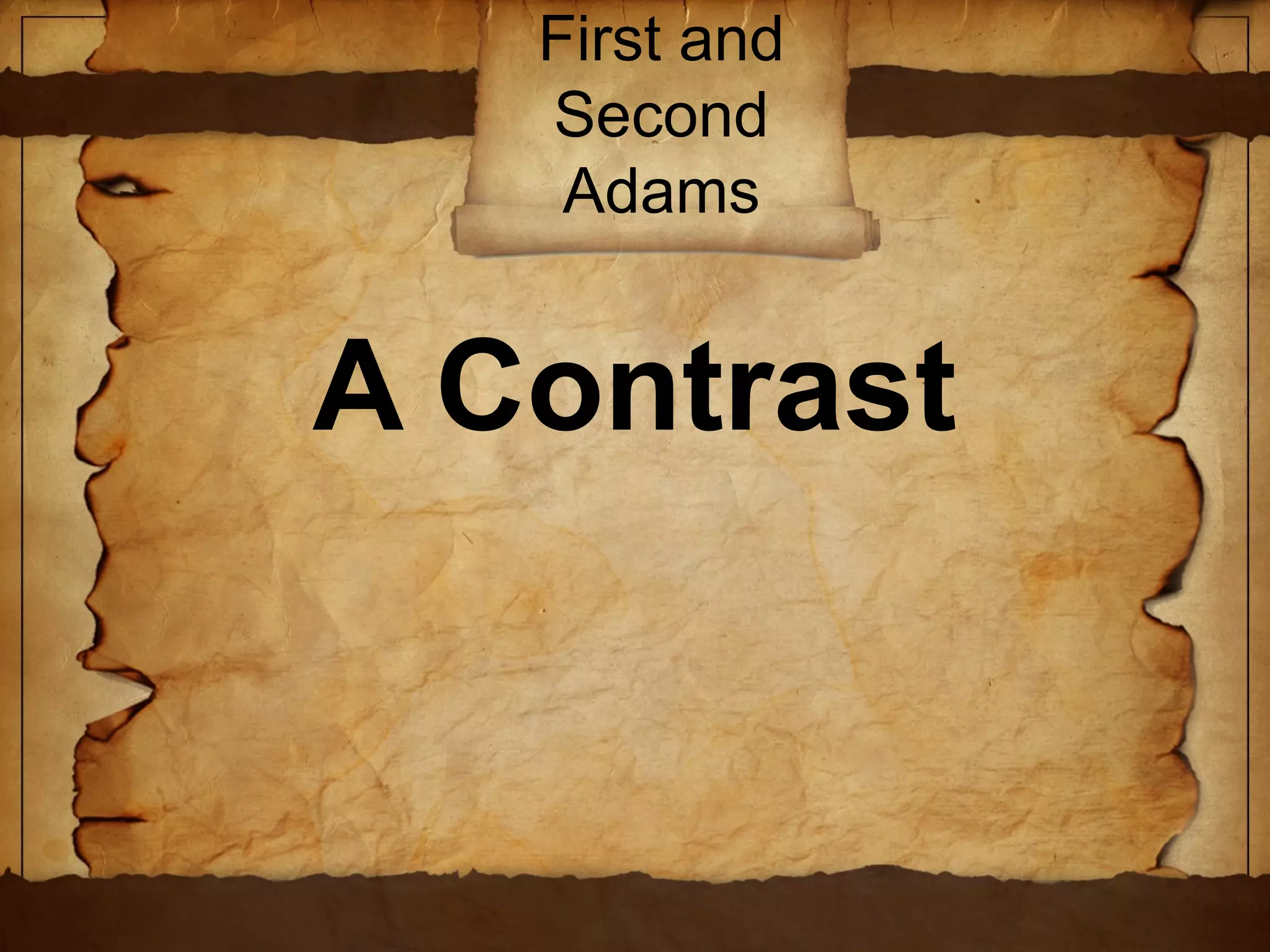 First and second adams | PPT