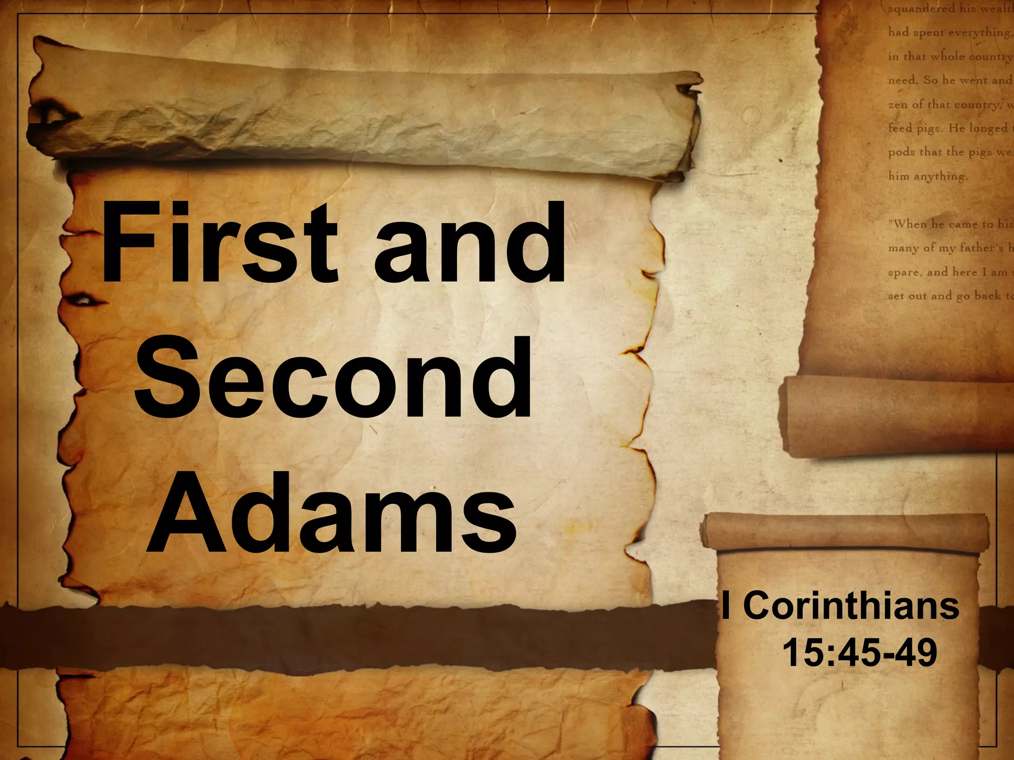 First and second adams | PPT