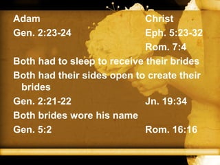 First and second adams | PPT