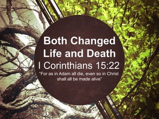 First and second adams | PPT