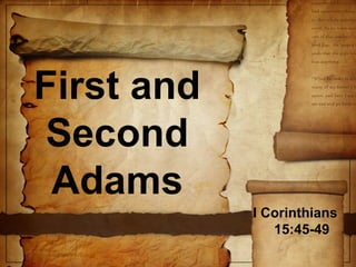 First and second adams | PPT