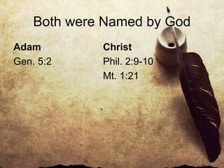 First and second adams | PPT