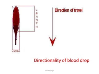blood spatter analysis | PPT