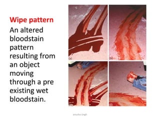 blood spatter analysis | PPT